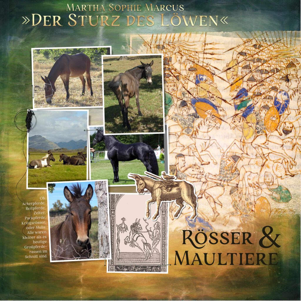 Das Gold der Weiden: Der Sturz des Löwen & Die Gunst der Fürsten ...